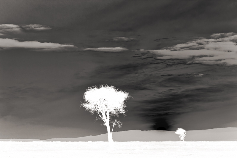 2020-10-18: Inverted Landscapes – Jennifer Sawicky Photography