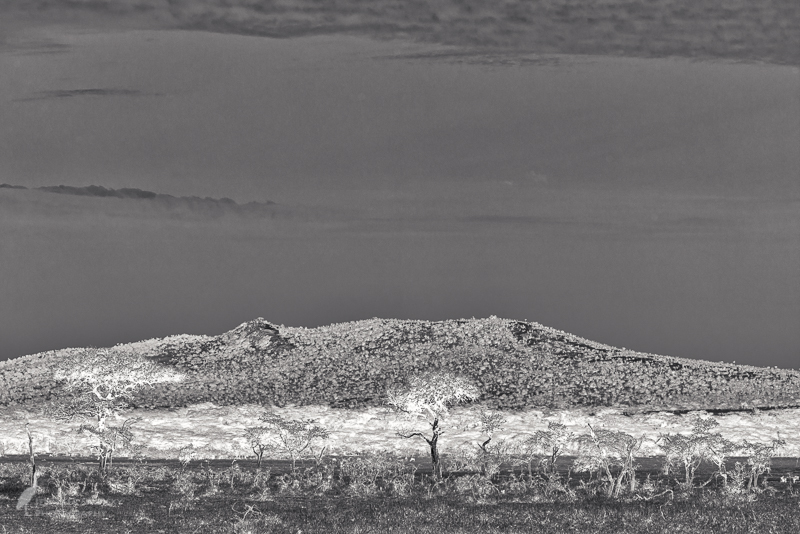 2020-10-18: Inverted Landscapes – Jennifer Sawicky Photography